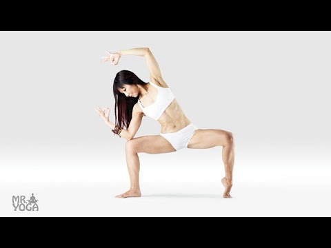 2100 Asanas - Book Review - Mr. Yoga - Daniel Lacerda - Standing Poses - Part 1