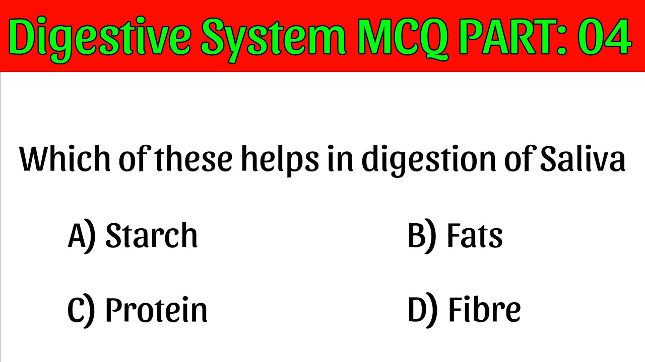 Digestive System MCQ |PART: 04| |Digestive System| |digestion mcq - YouTube