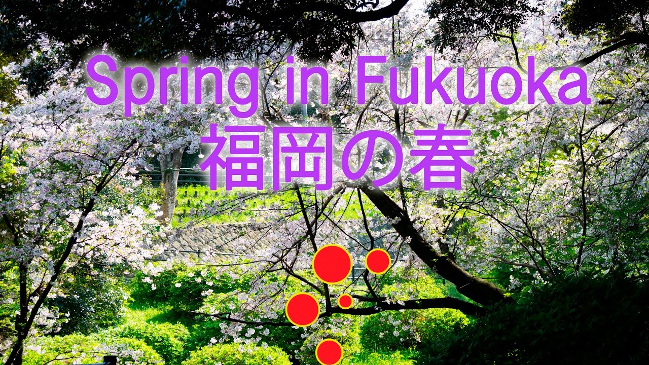 Spring in Fukuoka - YouTube