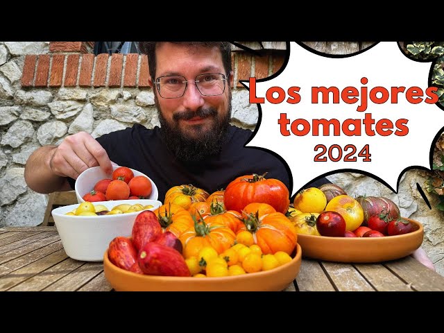 Variedades De Tomates Tradicionales