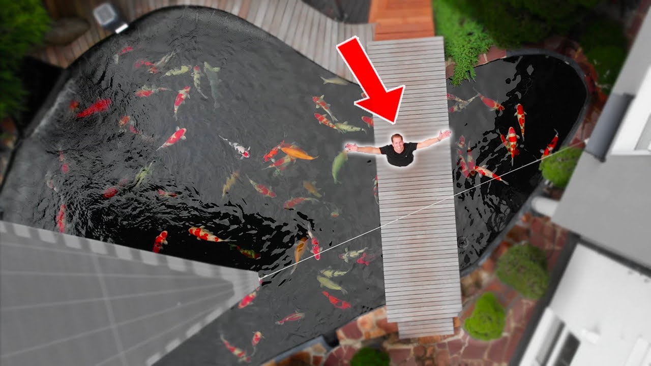 World’s Largest Koi Fish and Pond! - YouTube