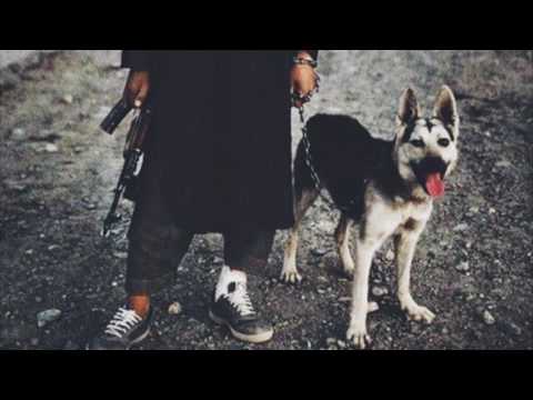 Andery Toronto - Родина..