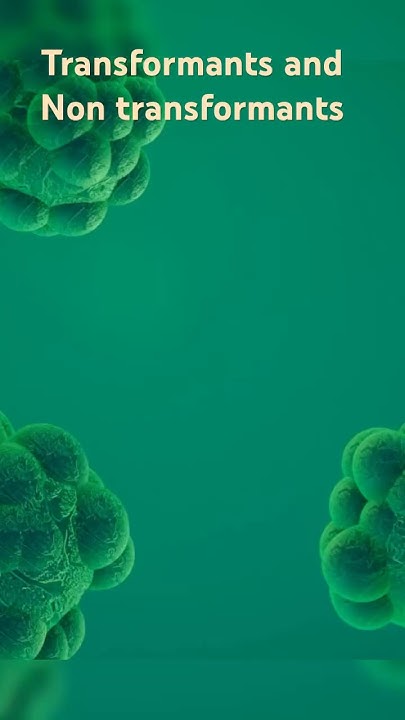 Transformants and Non-Transformants in Recombinant DNA Technology#htet #ctet #biology #biology ...