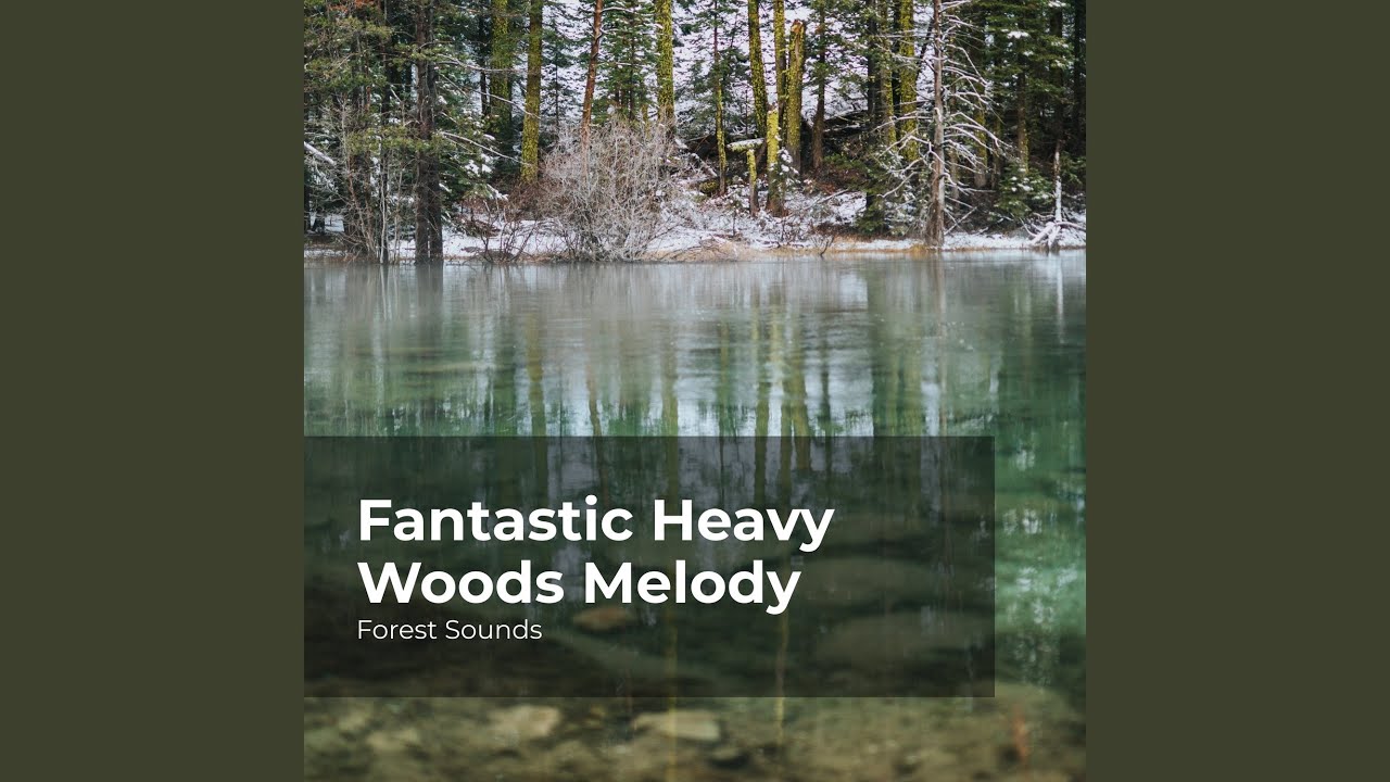 Rhythmic River Flows - YouTube