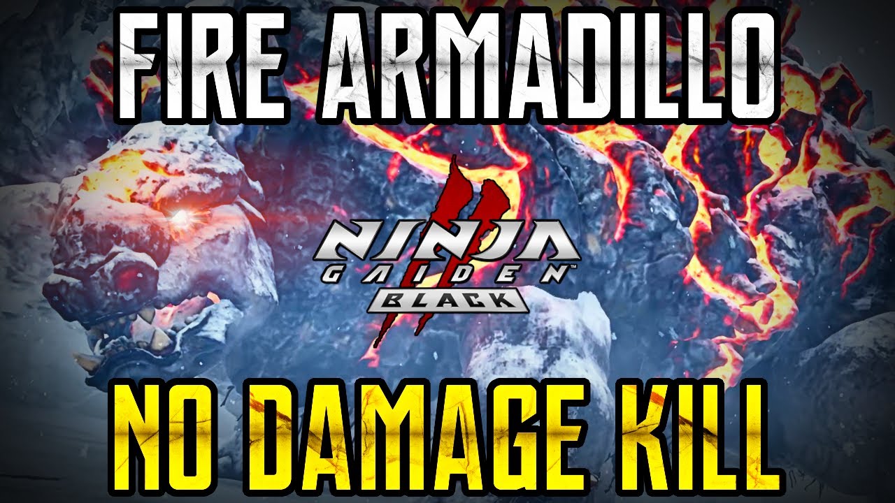 Ninja Gaiden II Black – Fire Armadillo No Damage Kill (Master Ninja ...