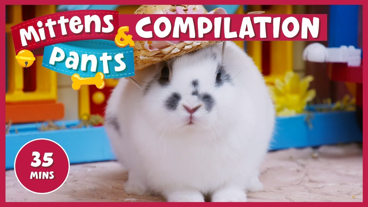 Summer Compilation ☀️ | Mittens & Pants | Animals for toddlers - YouTube