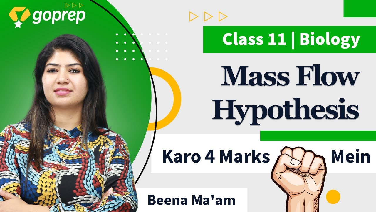 Mass Flow Hypothesis | Plant Physiology | NEET Preparation | Class 11 ...