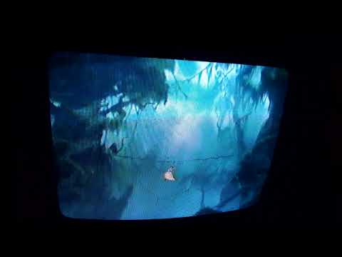 Tarzan (1999) Jane gets chased by the baboons!