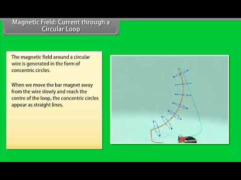 Magnetic Field Current through a Circular Loop - YouTube