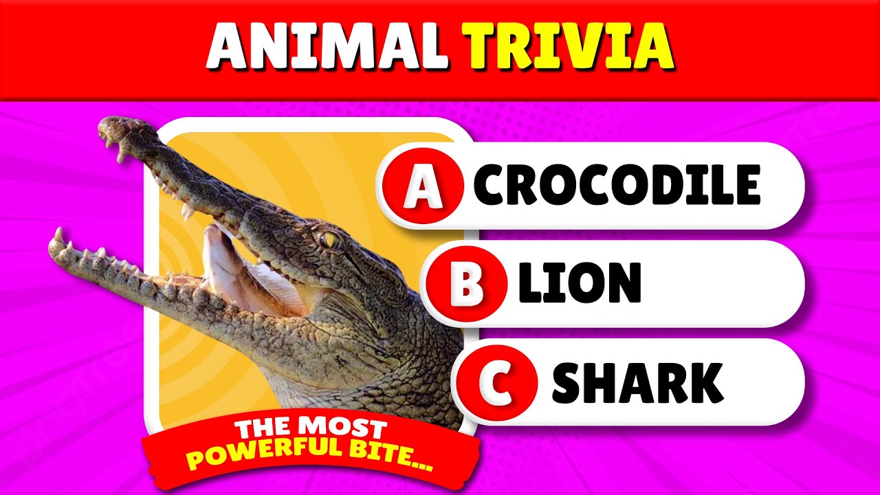 🦁 Do You REALLY Know Your Animal Facts? Take the Ultimate Wildlife Quiz ...
