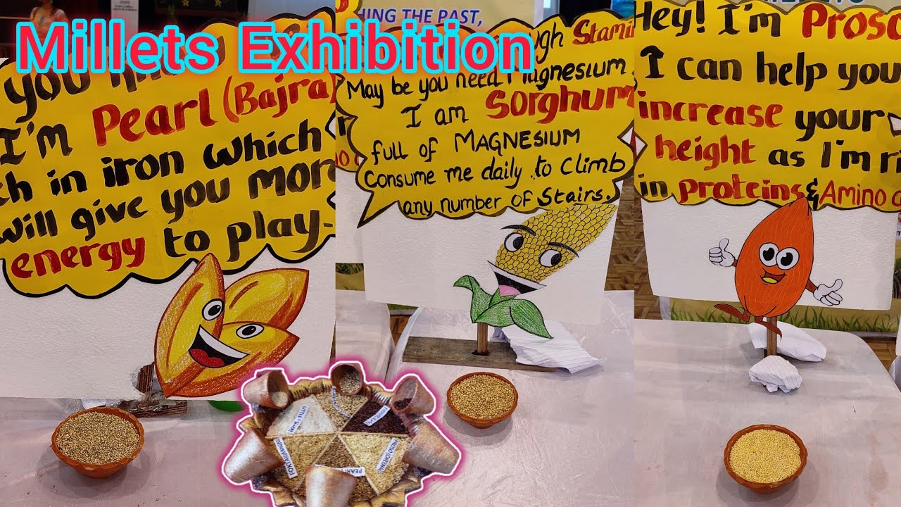 Millets Exhibition #milletsexhibition #millets - YouTube
