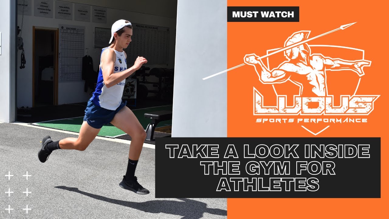 Ludus Gym Video 1 - YouTube