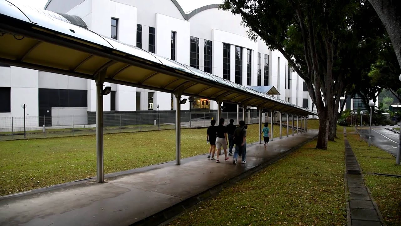 S'PORE: NP & SIM Campus Walk 20 - YouTube