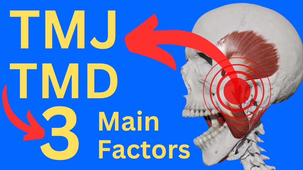 Understanding Your Jaw: The TMJ Connection - YouTube