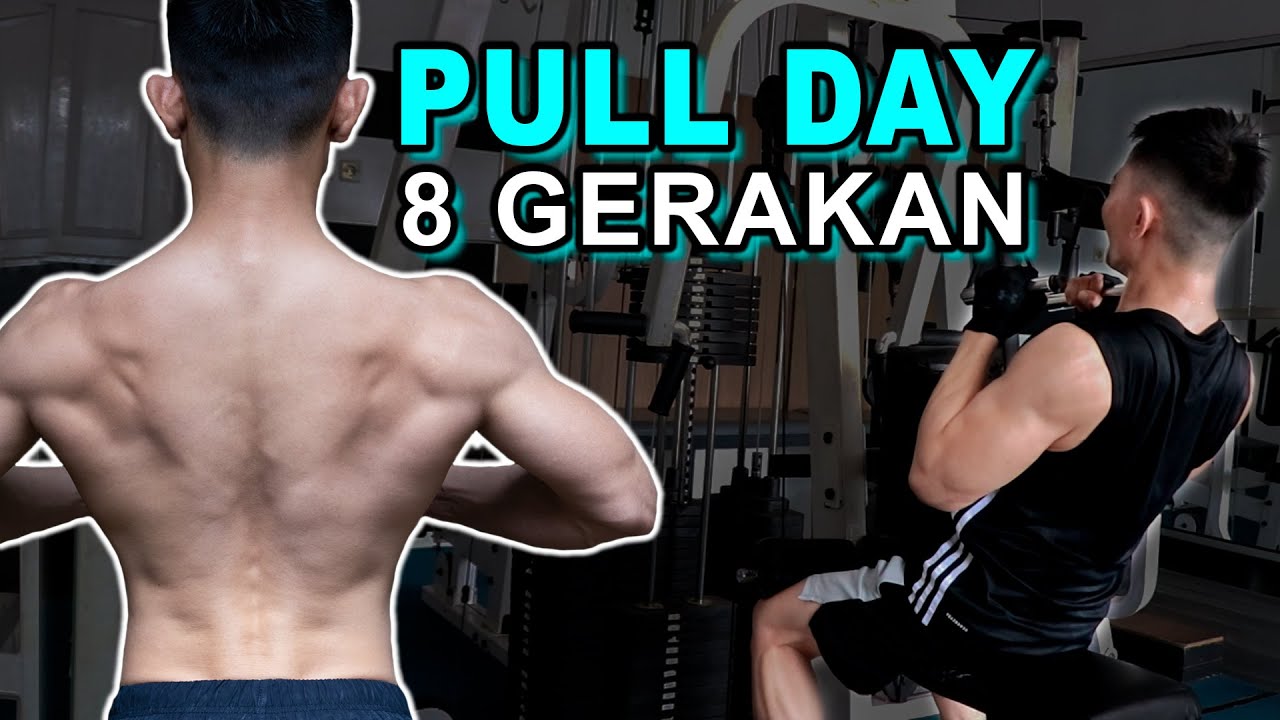 8 Gerakan Untuk Latihan Pull Day di Gym (Latihan Back, Sayap, Pundak dan Bicep) - YouTube