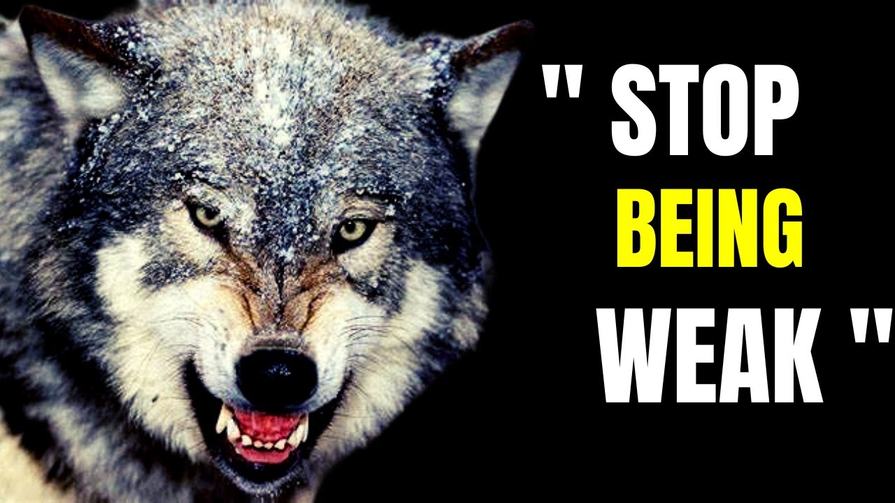 STOP BEING SO WEAK I Powerful Motivational Speech - YouTube