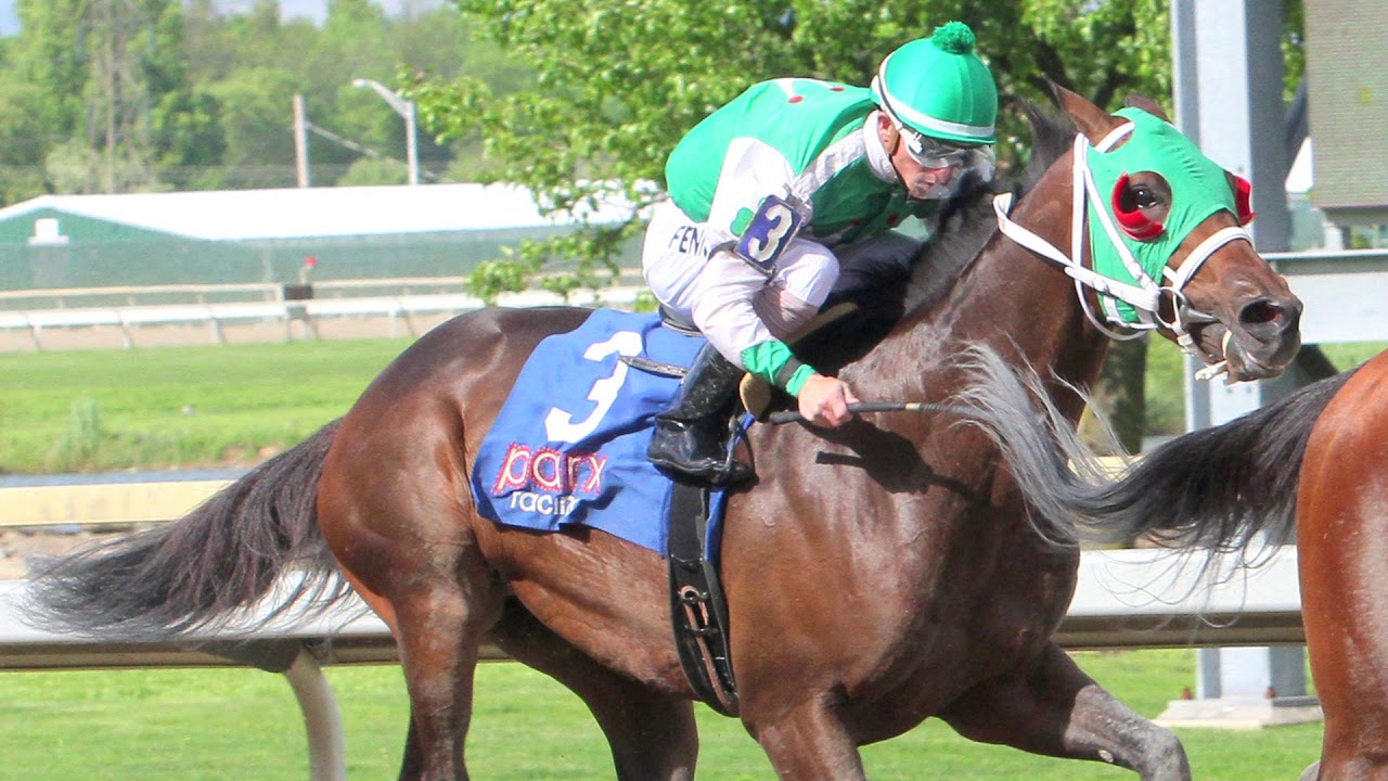 Alex Again, Horse of the Week 12 15 18 - YouTube