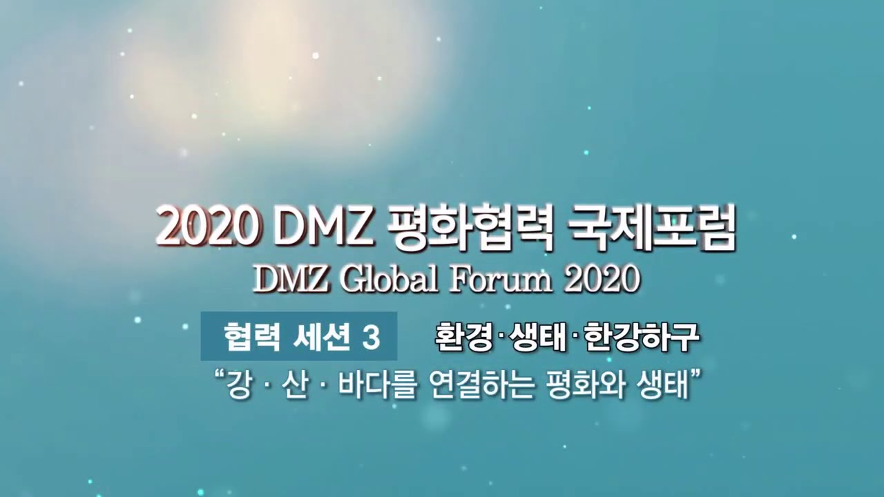 2020 DMZ 평화협력 국제포럼 협력세션3 환경·생태·한강하구 - YouTube