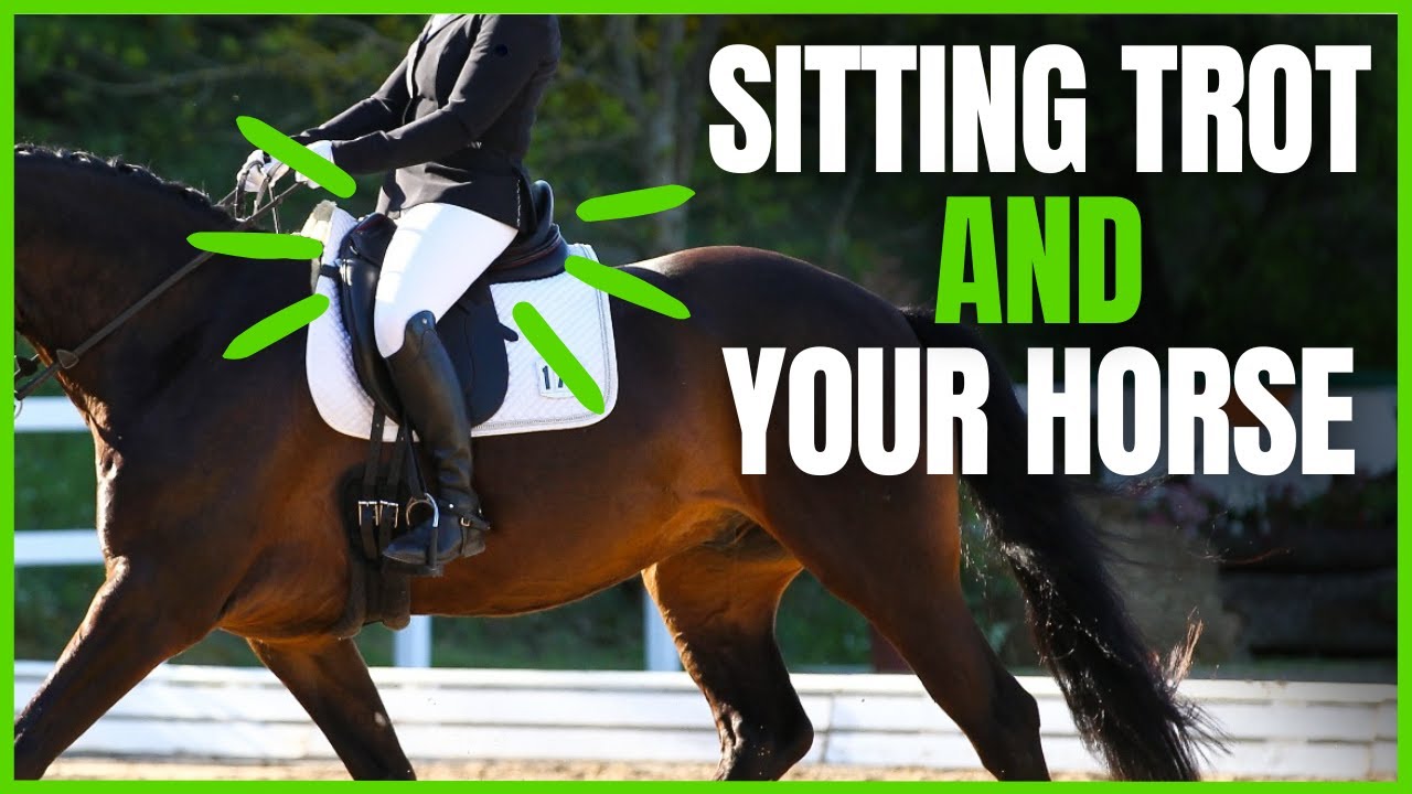 YOUR HORSE'S Way of Going & SITTING TROT from The Complete Online ...