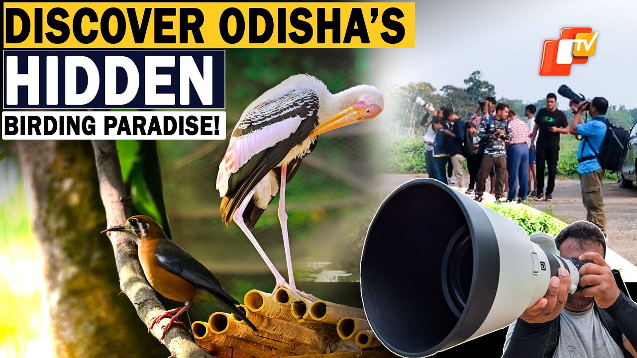 Exploring Nandankanan’s Bird Walk: Where Wings Meet Wonder - YouTube