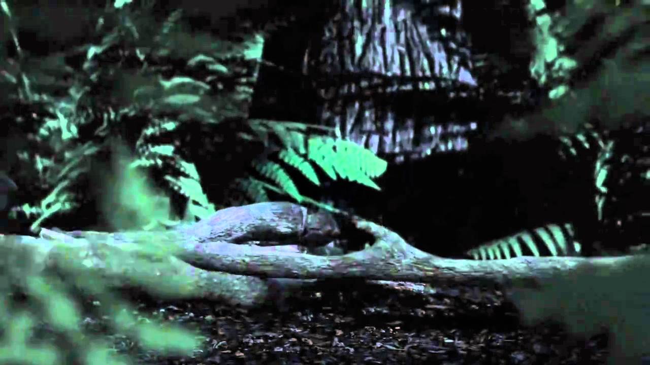 Cabela's Dangerous Hunts 2011-Official Activision Bear Attack Video ...