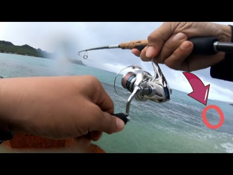 Fishing for Trevally and Bugaong in brakish water - YouTube