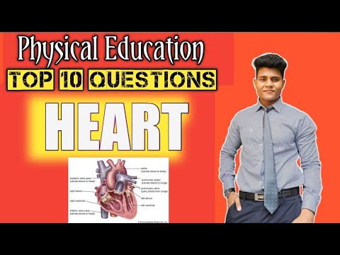 10 Important Questions On HEART multiple choice questions Solved ...