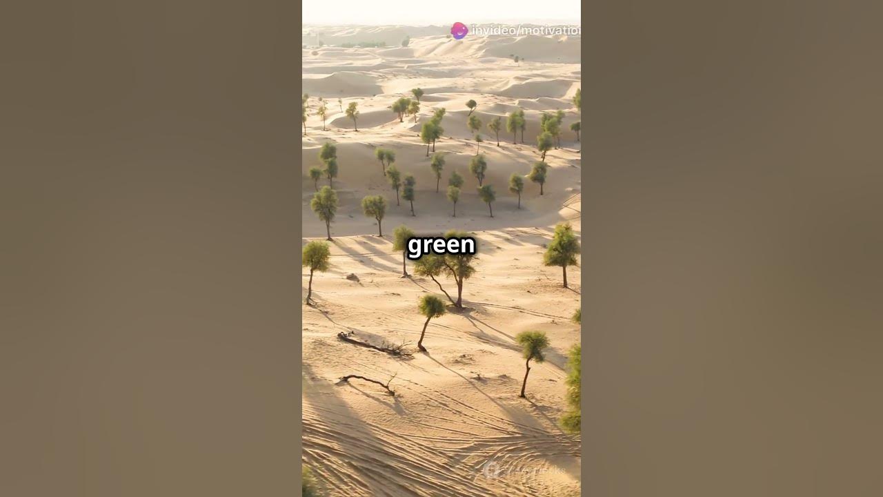 Desert to Forest Transformation - YouTube