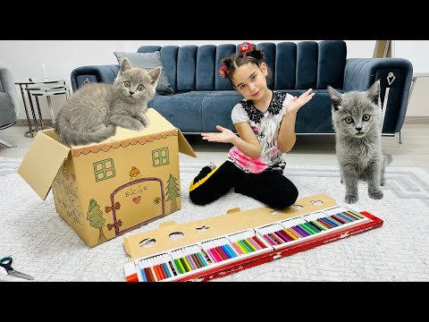 BÜCÜRE EV ETKİNLİĞİ !! KOCAMAN BOYA SETİ VE KARTON İLE KEDİMİZ BÜCÜRE EV YAPALIM !!