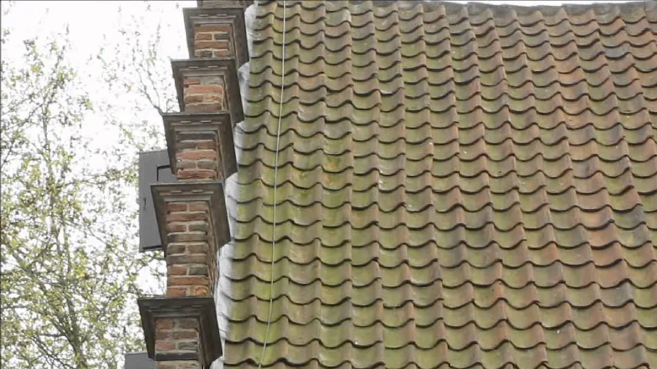 Common Swift entering nesting place under roof tiles (half speed) - YouTube