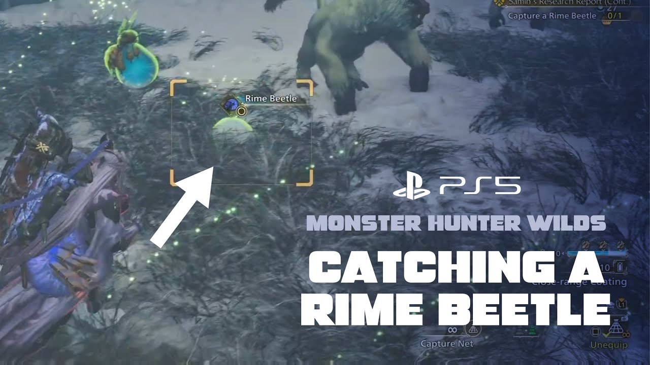 How to Find & Catch a Rime Beetle - Monster Hunter Wilds! - YouTube