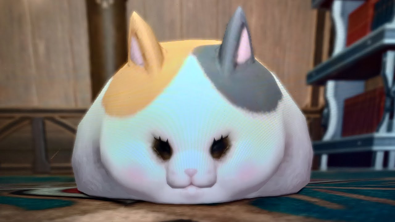 Final Fantasy XIV (FF14): 🙀 Fat Cat Minion 🐱 - YouTube