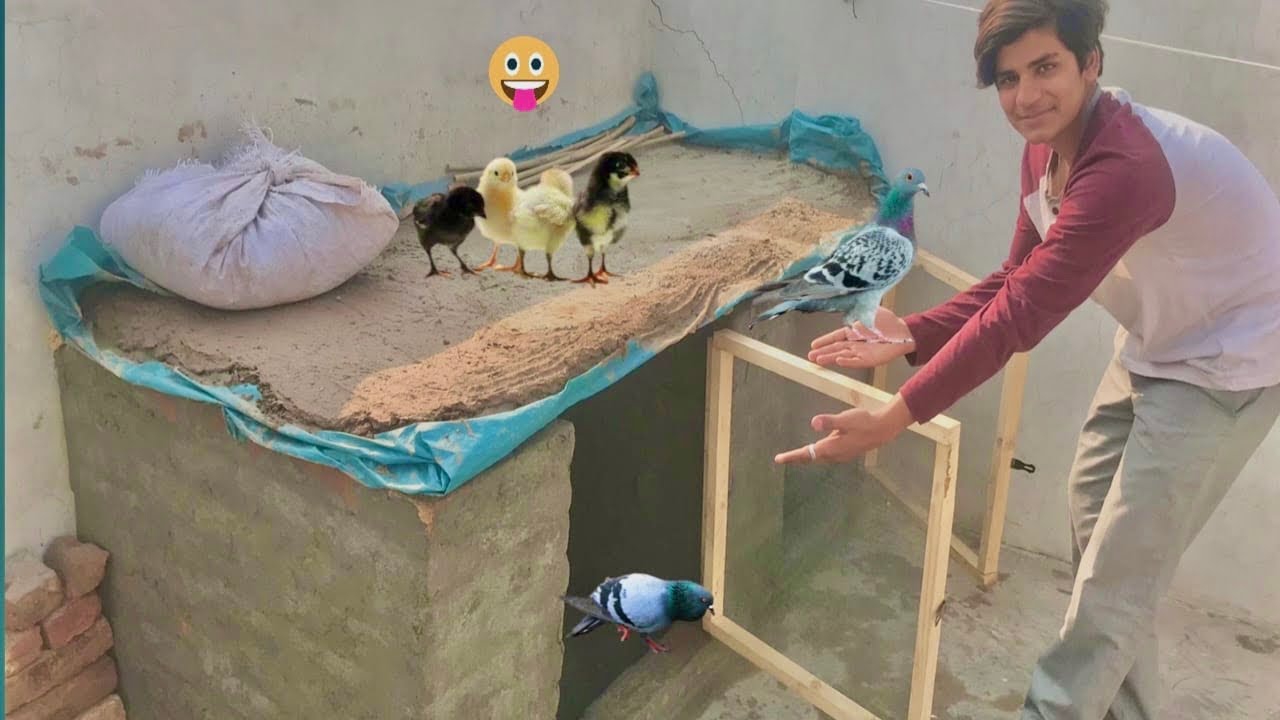 How To Make Hens House / Easy Make Home / Chicken Home 🏠 - YouTube