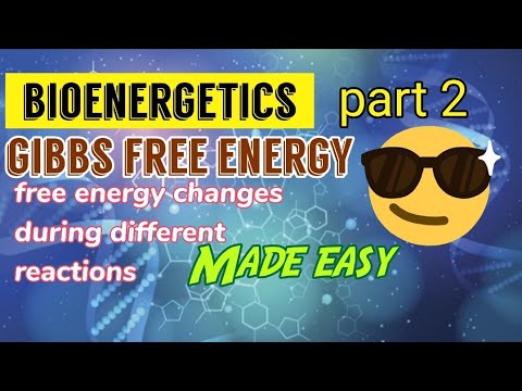 Gibbs Free Energy ||Bioenergetics 🤩Part ~2 - YouTube