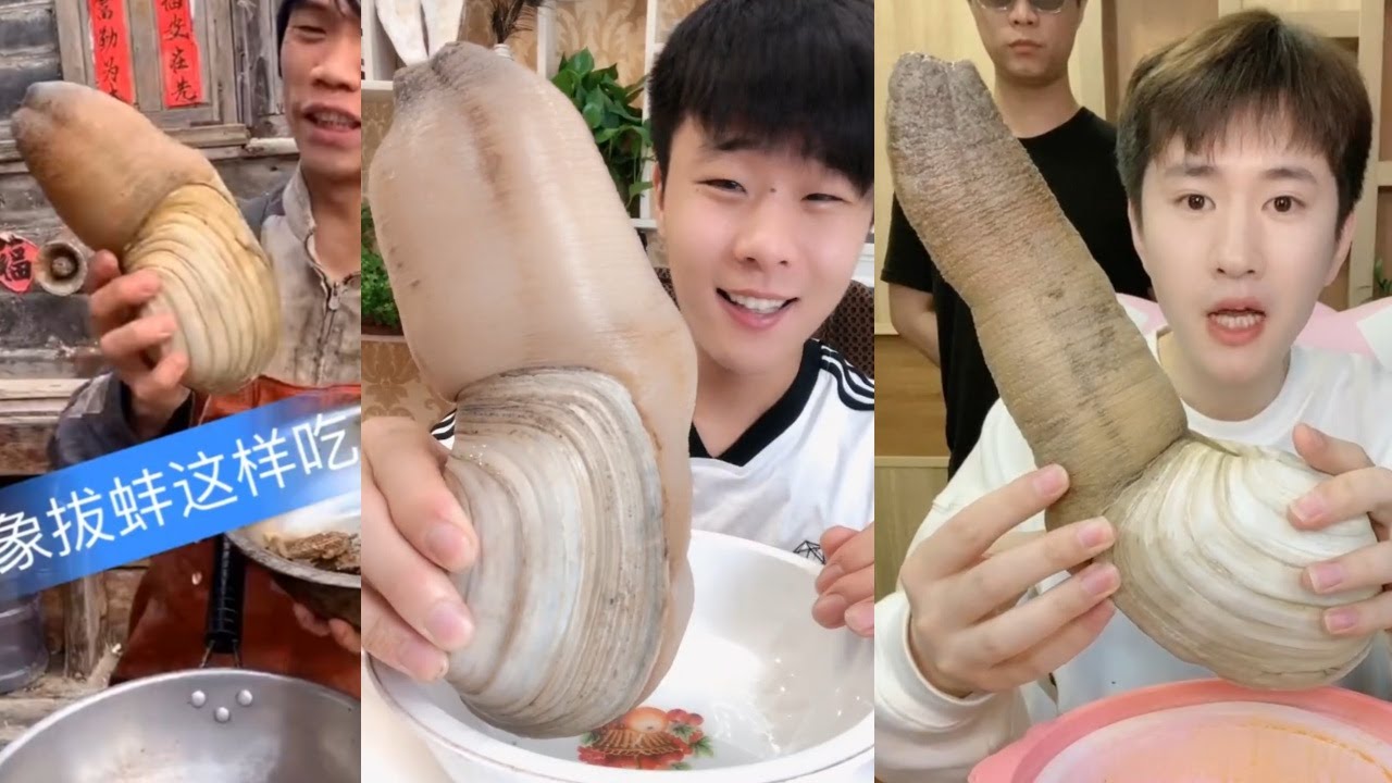 Chinese Eat Geoducks Delicious Seafood #15 | Seafood Mukbang Eating ...