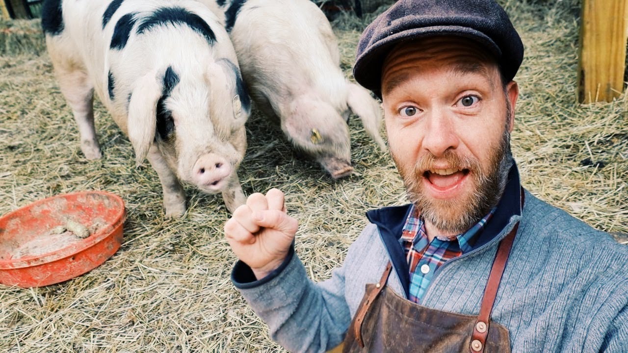 PIGS COMPOSTING! Will Salatin’s PIGERATOR work on a Homestead? - YouTube