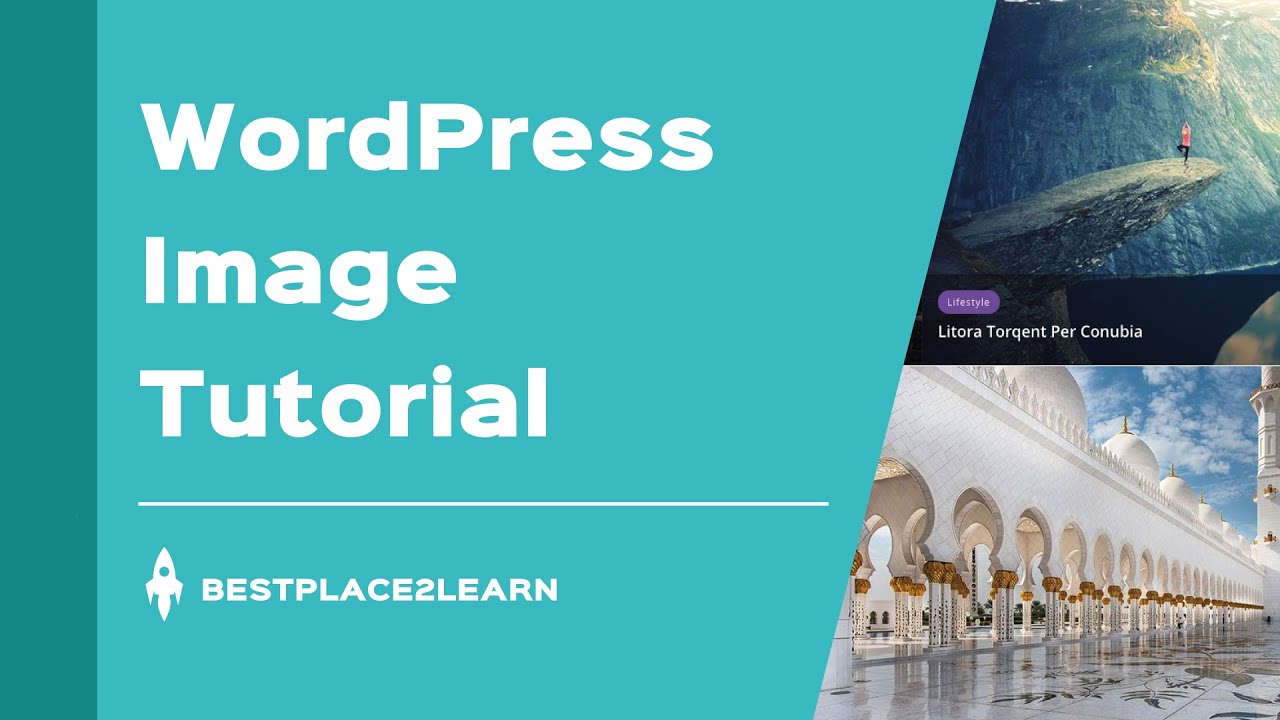 Wordpress Image Tutorial | Elementor For Images - YouTube