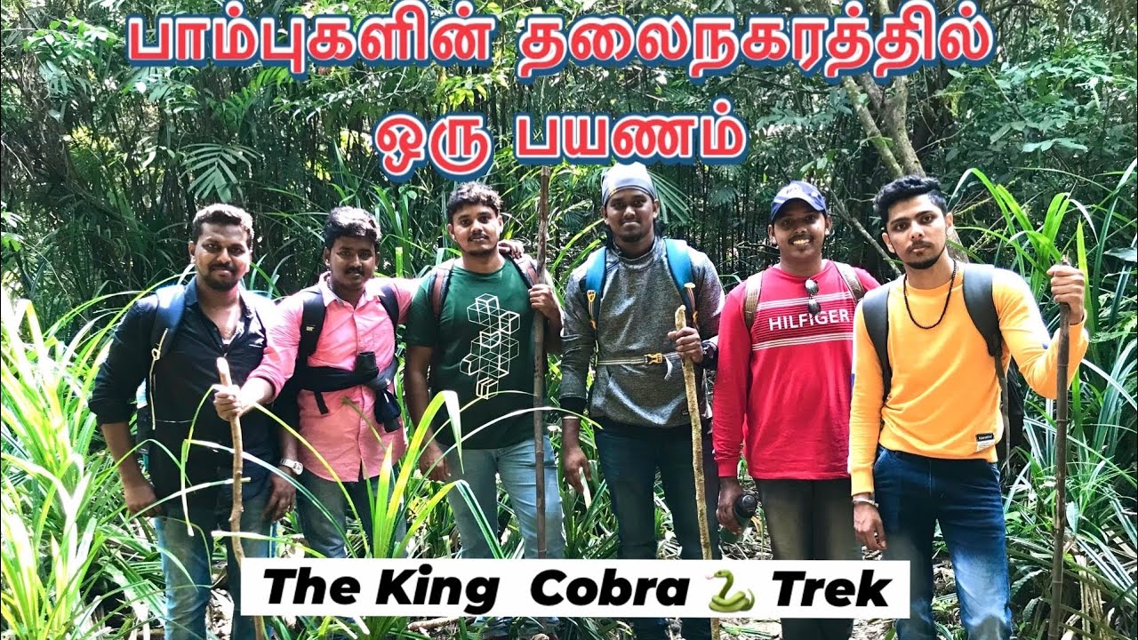 King cobra trek | Agumbe | தமிழில் - YouTube
