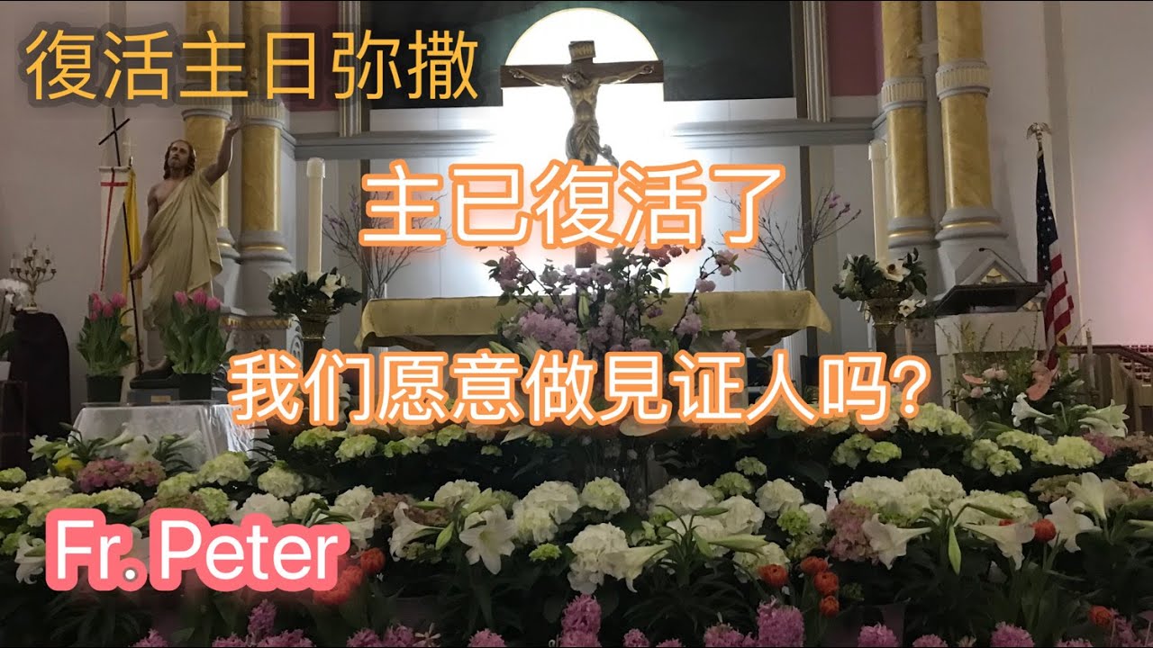 Fr. Peter 復活主日弥撒 (主已復活了，你愿意做見证人吗？) 若望福音20:1-9 (纽约显圣容堂） 4/9/23 - YouTube