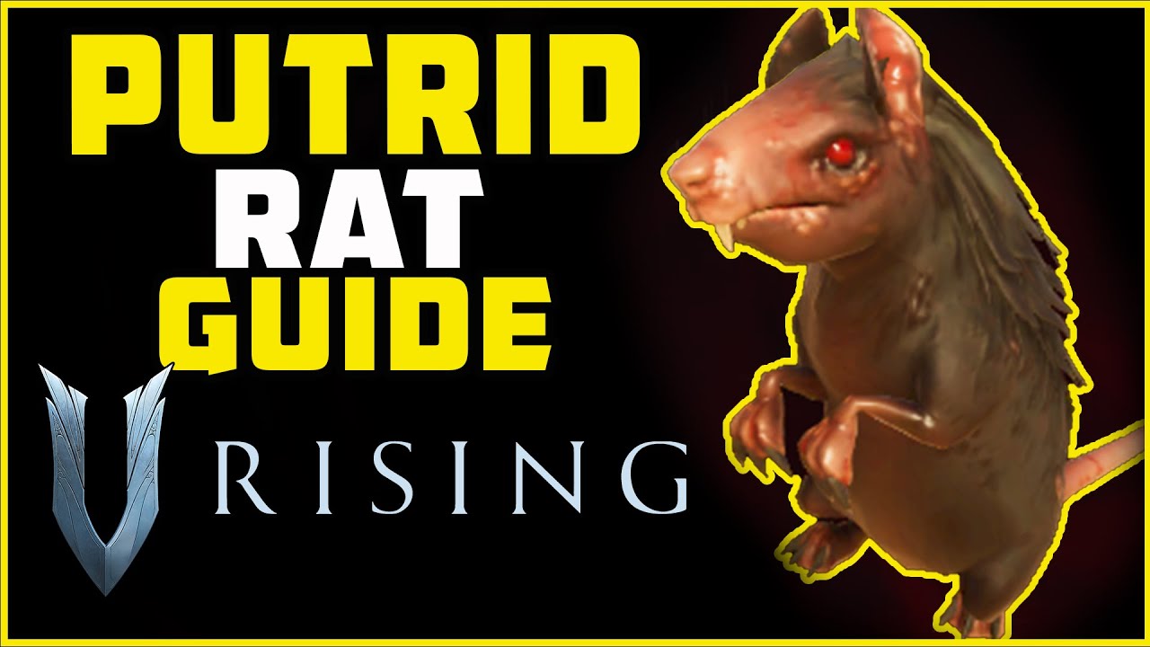 How to Get and Fight the Putrid Rat | V Rising 2022 - YouTube