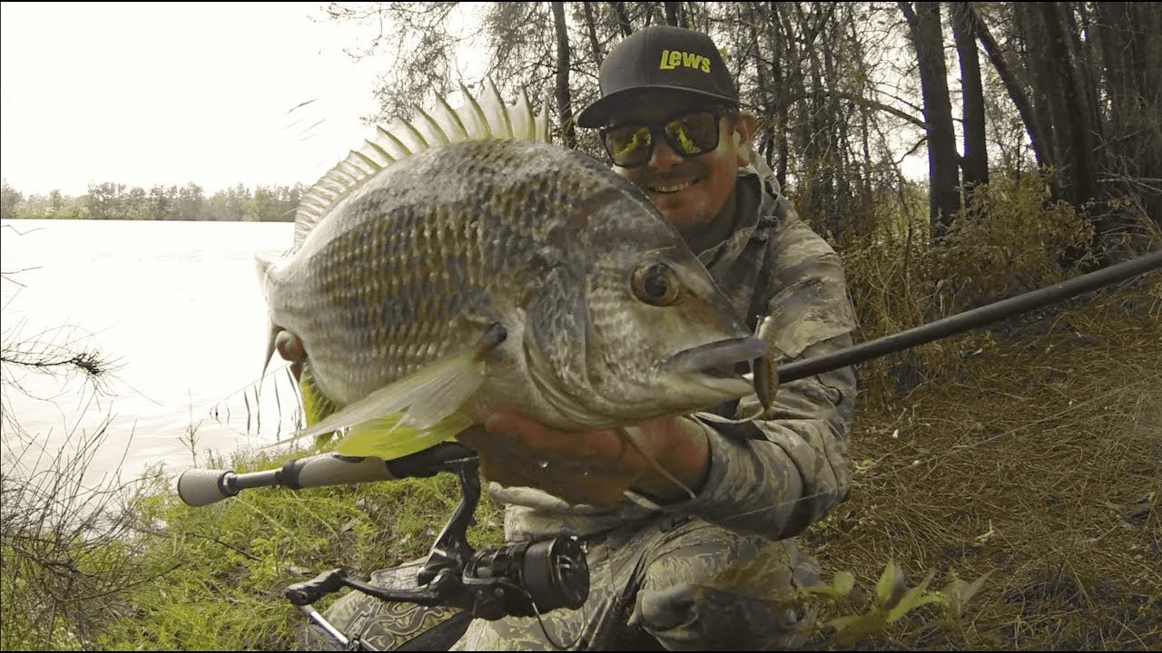 BREAM LAKE SESSION | In The Wet. - YouTube