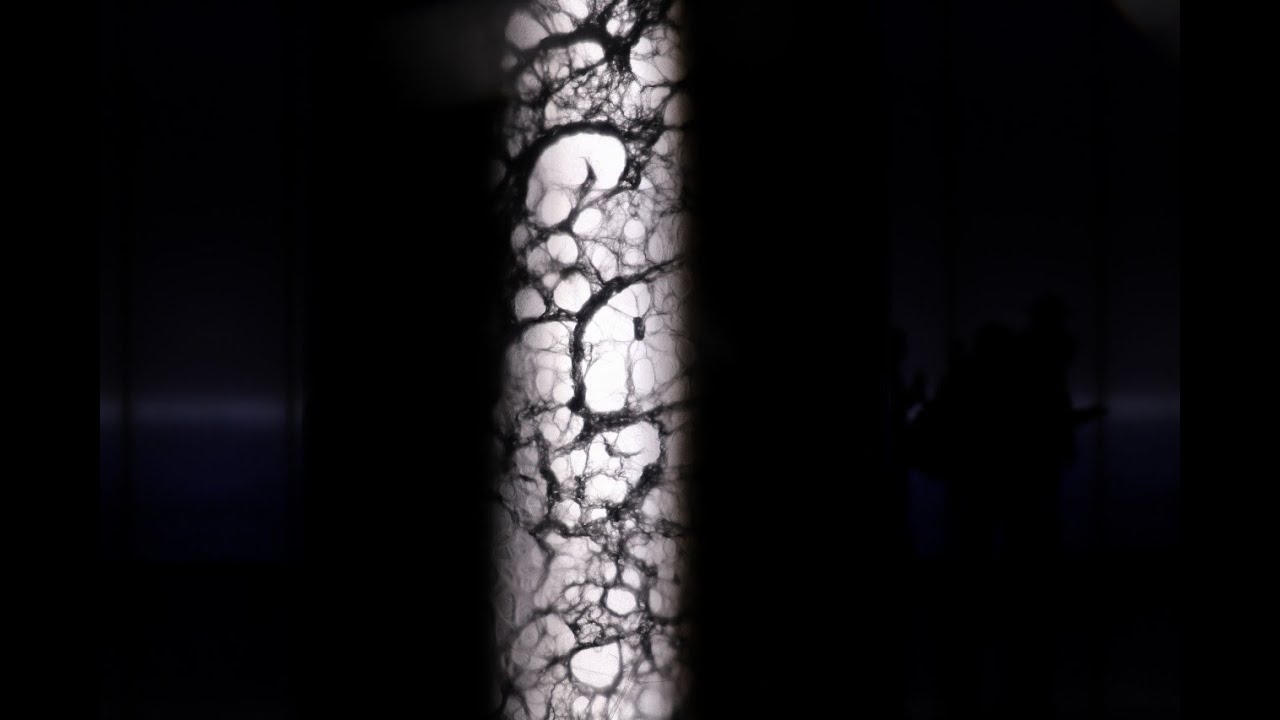 20240416 LEXUS x TANGENT x WASHIYA project in Milano TOTEM - YouTube
