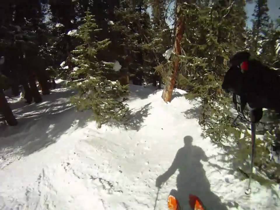 Skiing through the trees - YouTube