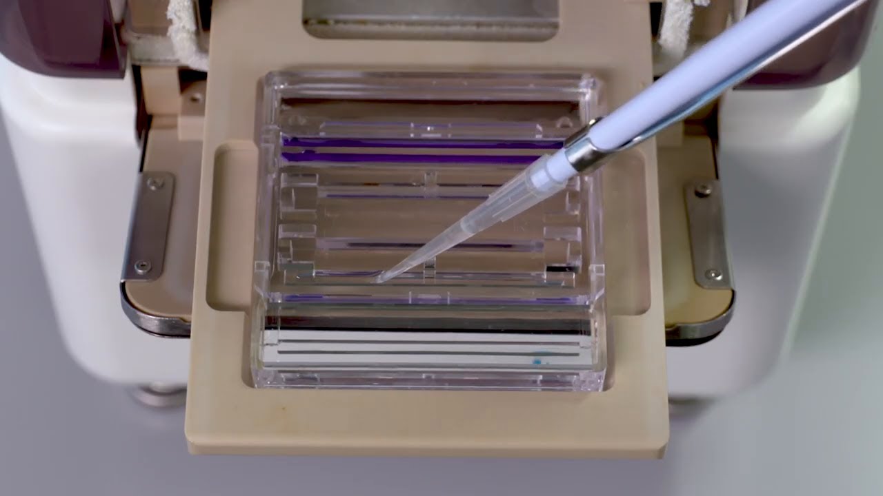 How to Use the Auto2D® Automated 2-D Gel Electrophoresis Device - YouTube