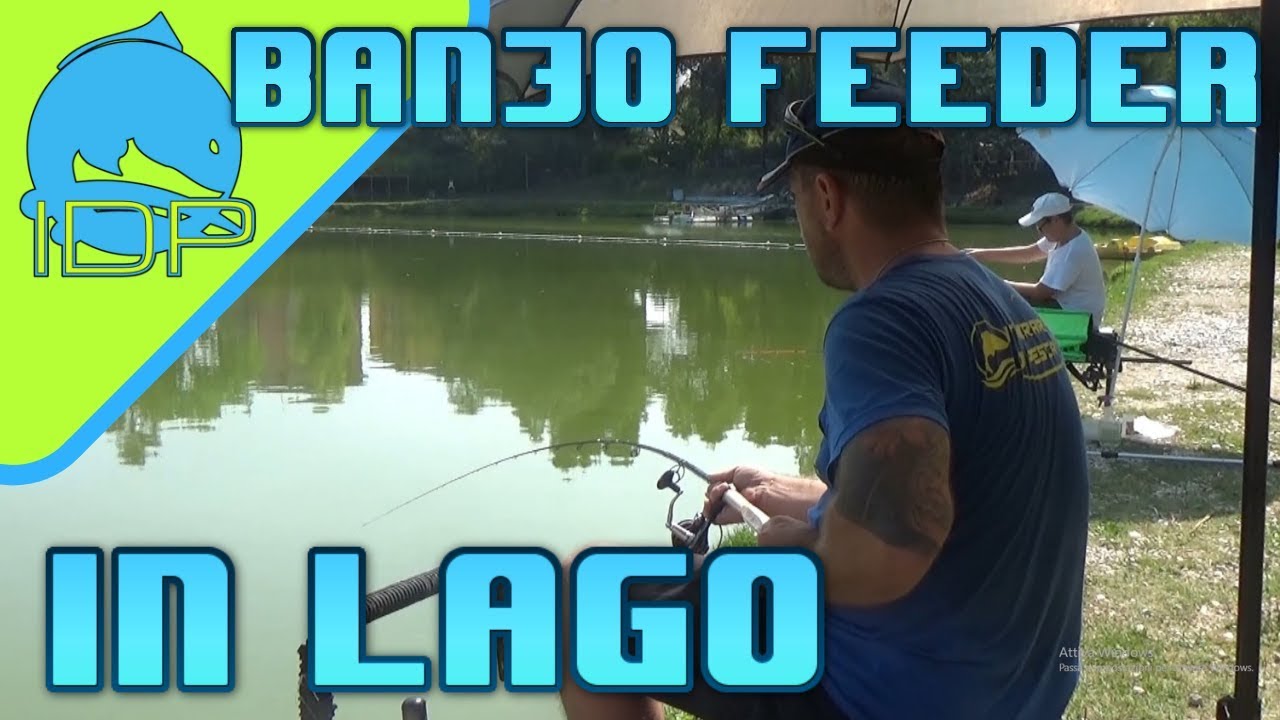 BANJO FEEDER in LAGO - YouTube