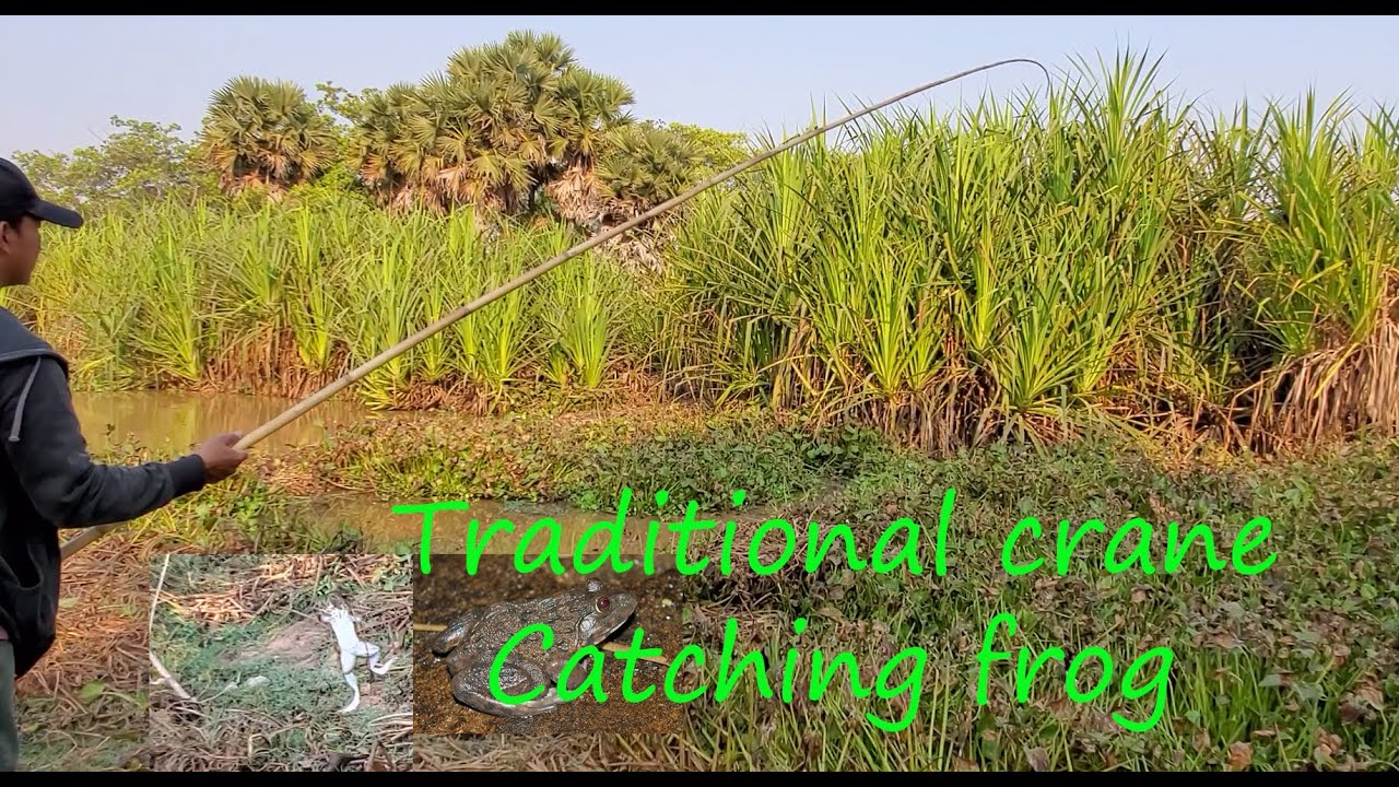 Fly Fishing Frog at Imogen Parry-okeden blog