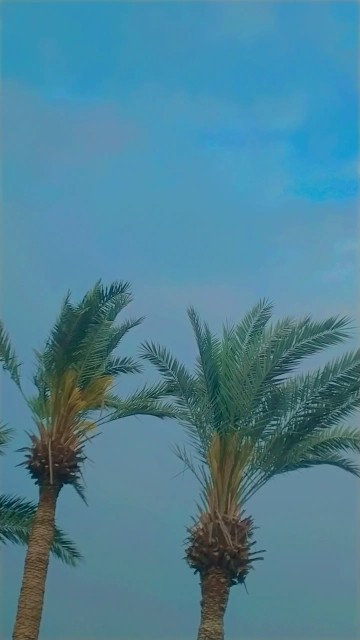 Barish# YouTube # short # video # reel - YouTube