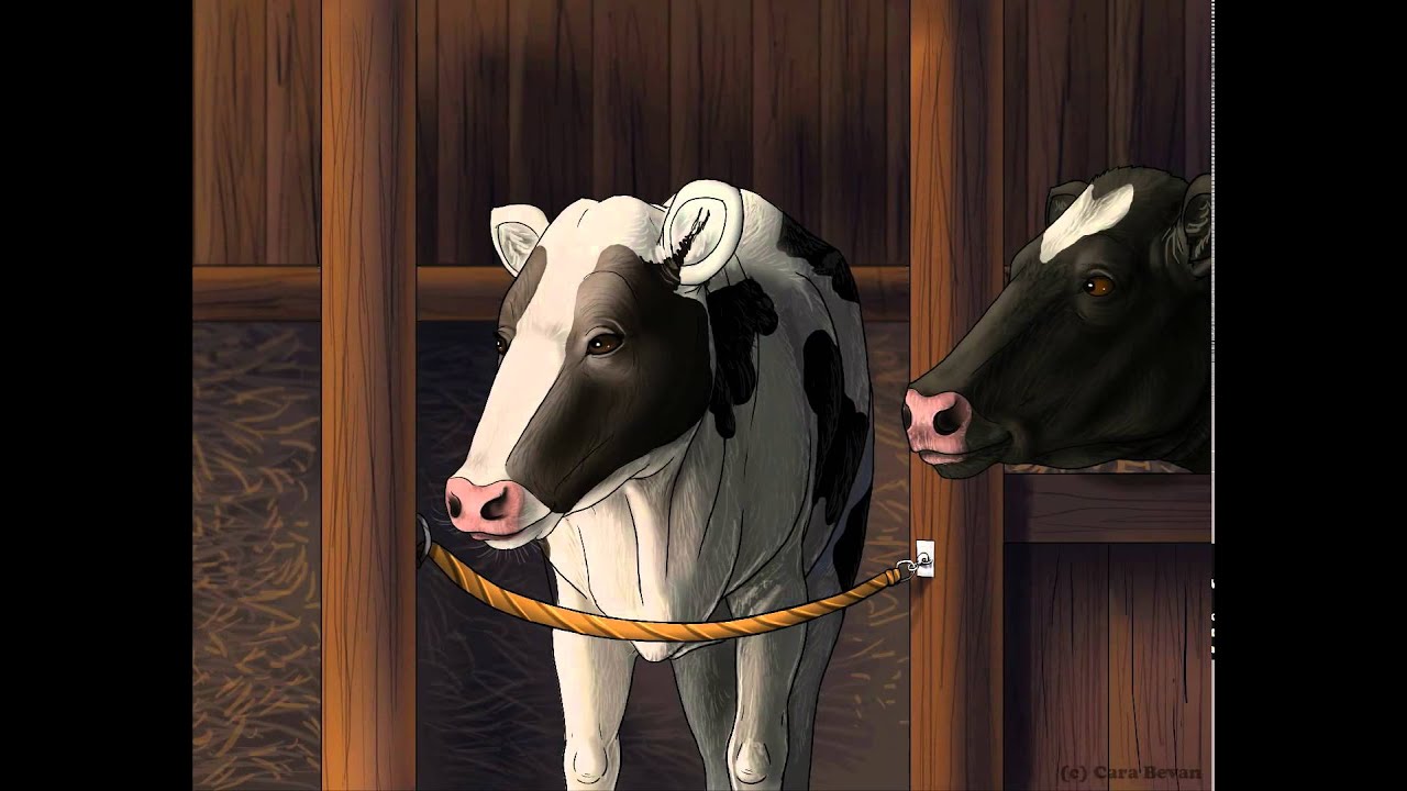 Improbable...Never Impossible | Animated Picture Book Trailer Promo ...