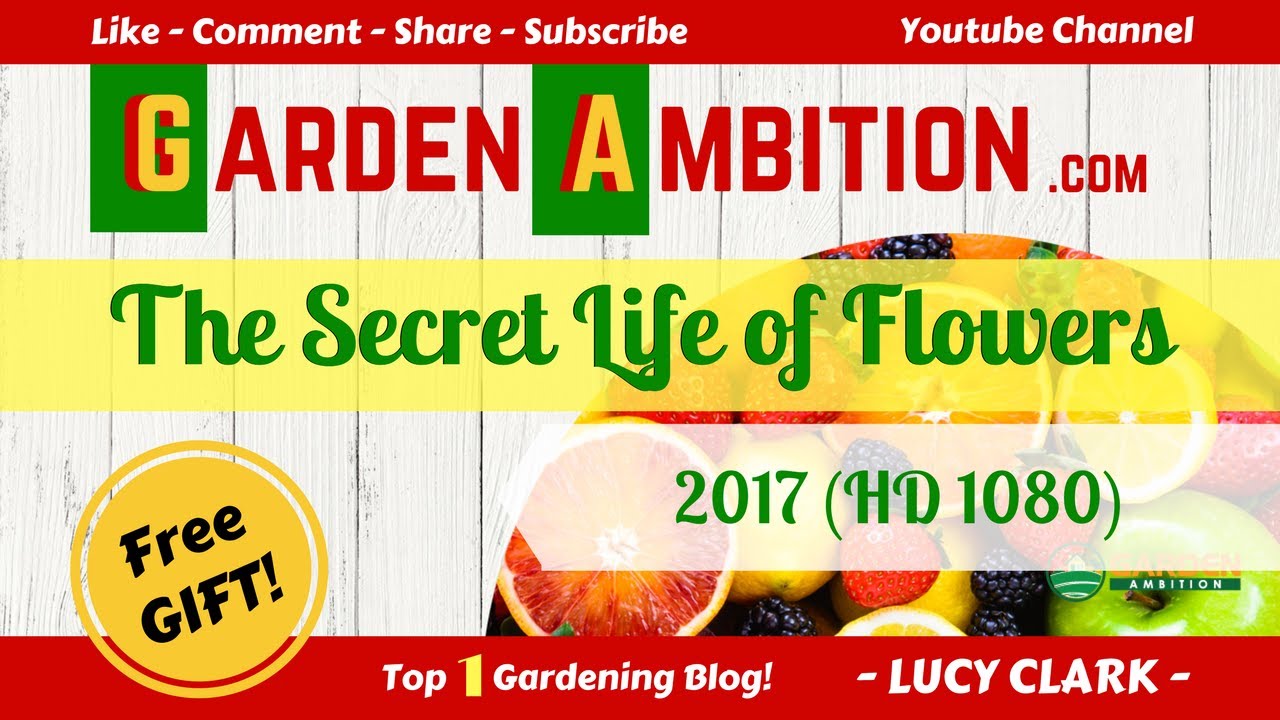 The Secret Life of Flowers 2017 (HD 1080) - YouTube