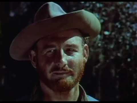 Yellowneck 1955